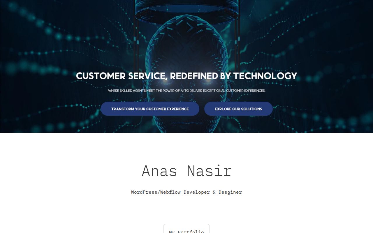 Anas Portfolio